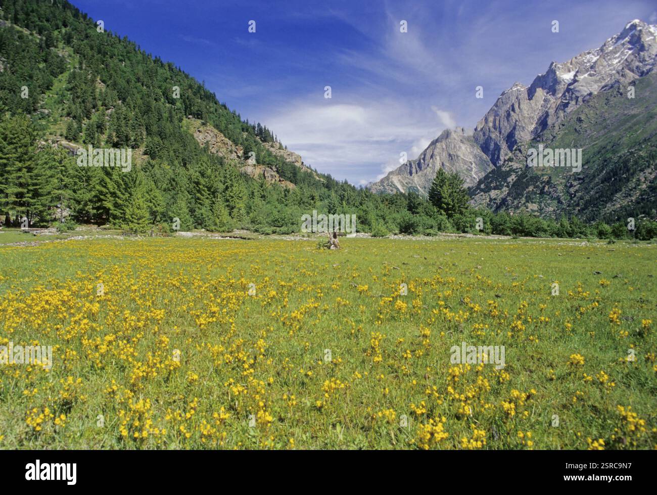 Landscape, Raksham, sangla, kinnaur, himachal Pradesh, India, Asia ...