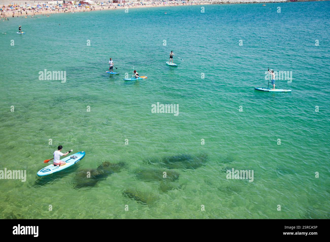Paddle surf in Barceloneta, Bogatell beach, Barcelona, Spain Stock ...
