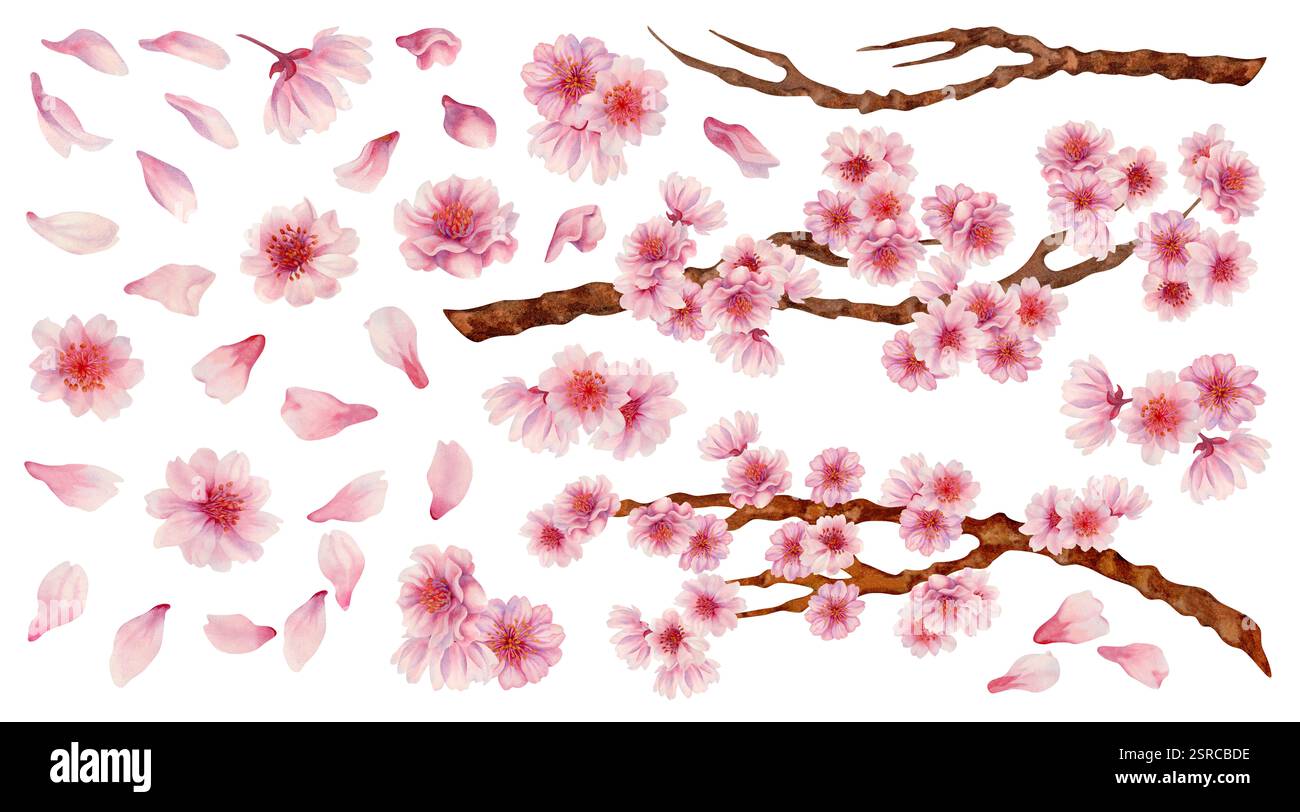 Large set of pink flowers, cherry petals, branches with flowers ...