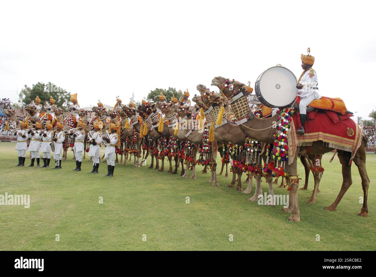 Camel band show on independence day at Ummaid stadium, Jodhpur ...