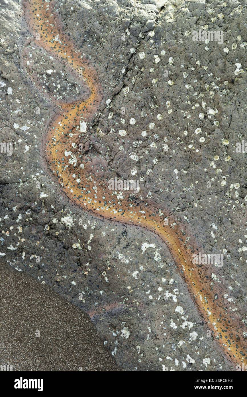 Pattern on rock, Kosamba beach, Valsad, Gujarat, India, Asia Stock ...