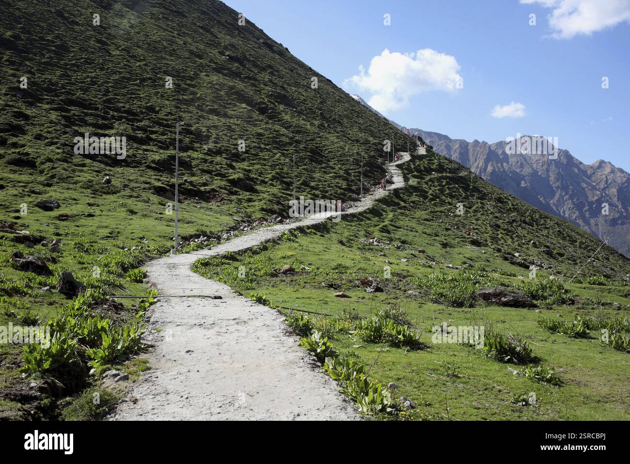A steep path Uttarakhand India Asia Stock Photo - Alamy
