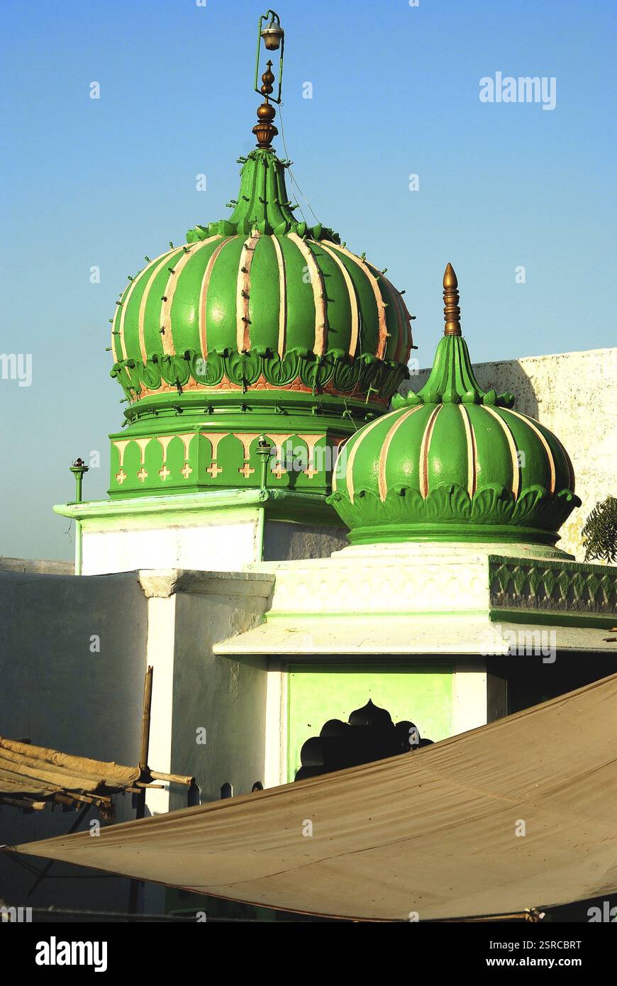 Chilla bade peer, Ajmer, Rajasthan, India, Asia Stock Photo - Alamy