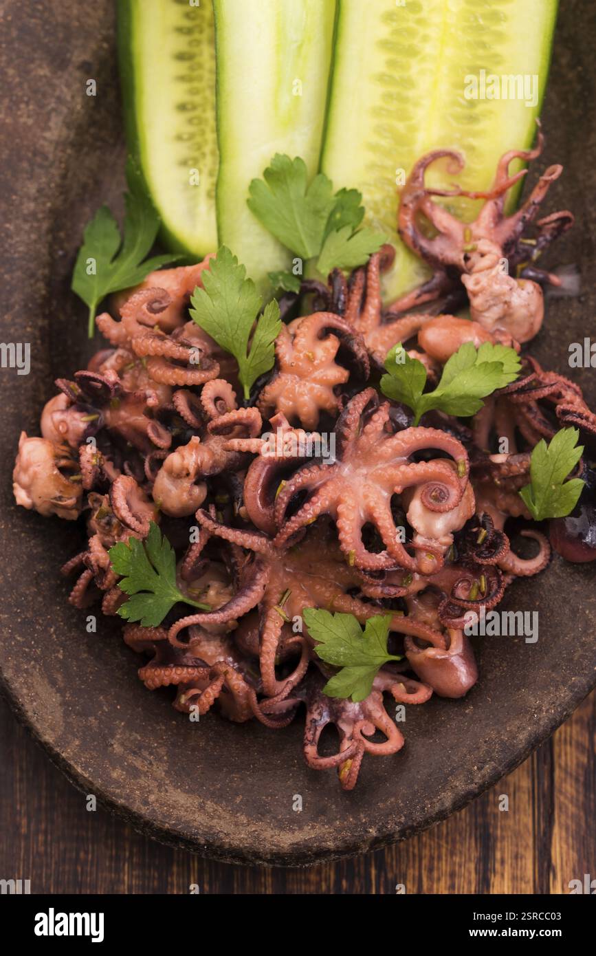 Octopus with cuttle fish hi-res stock photography and images - Alamy