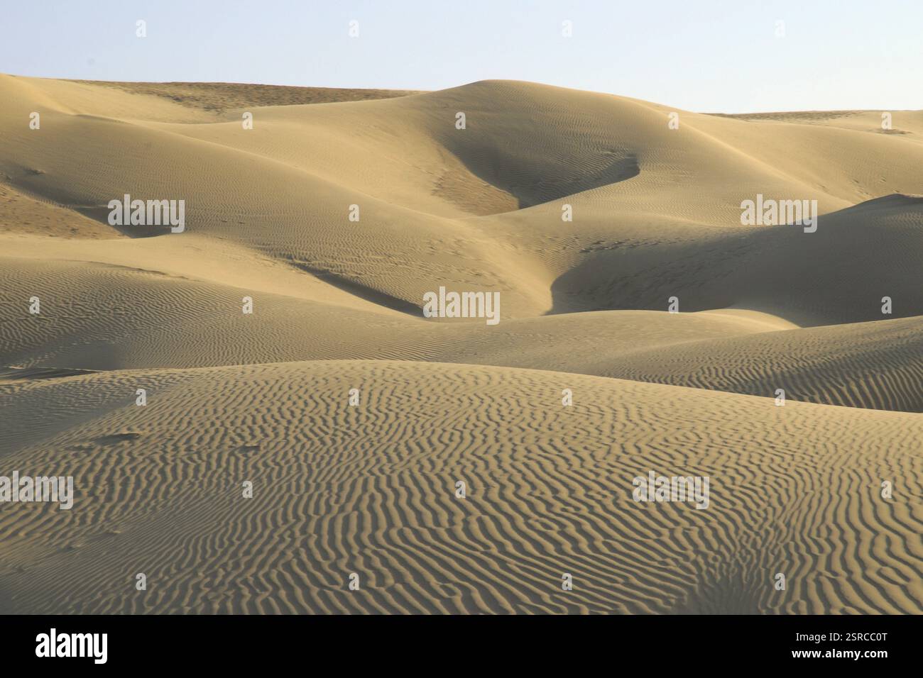 White sand with ripples form on sand dunes of Khuri Khurri, Jaisalmer ...