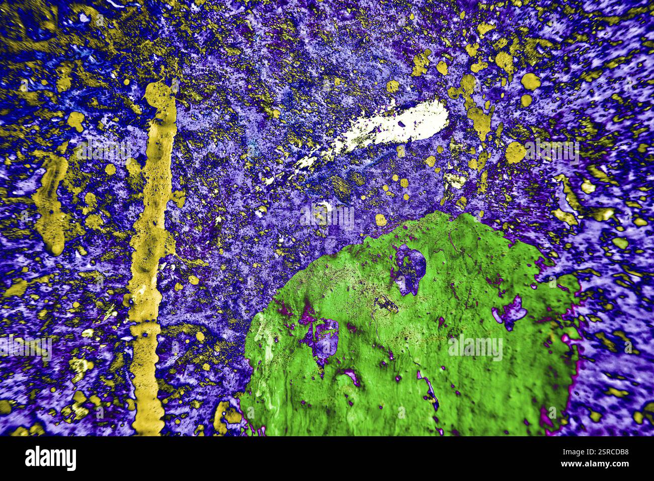 Modern fine art computer graphics designs paintings creative curve and ...