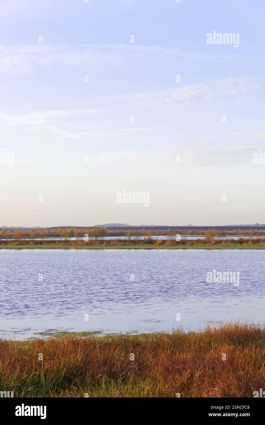 The moorland in the autumn Stock Photo - Alamy