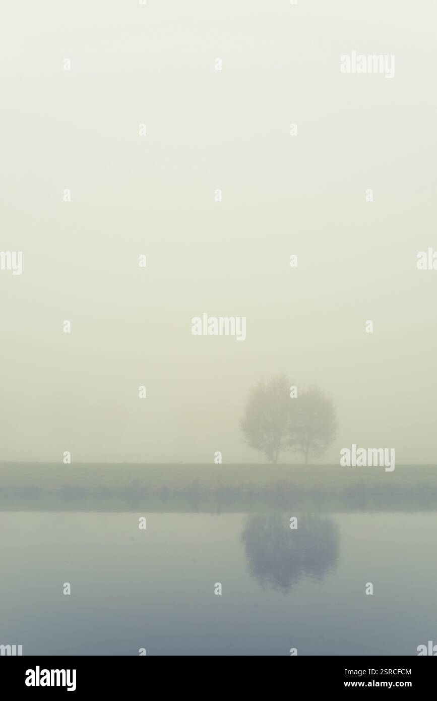 Fog at the river Stock Photo - Alamy