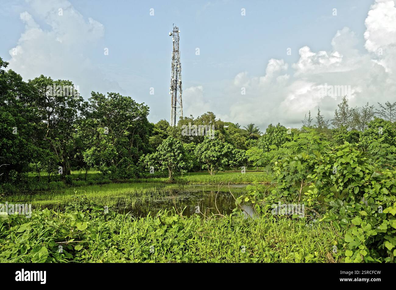 Mobile tower india hi-res stock photography and images - Alamy