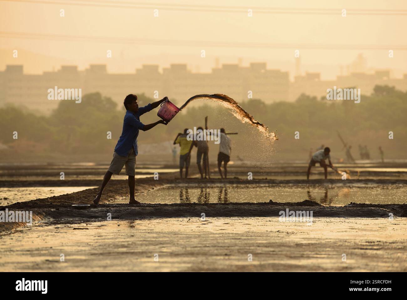 Asia salt hi-res stock photography and images - Alamy