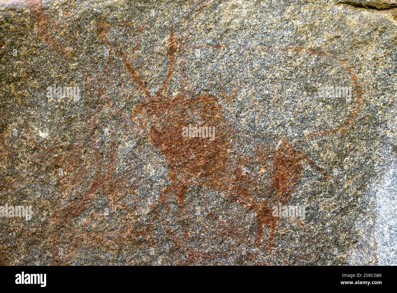 Prehistoric rock painting at Hampi, Karnataka, India, Asia Stock Photo ...