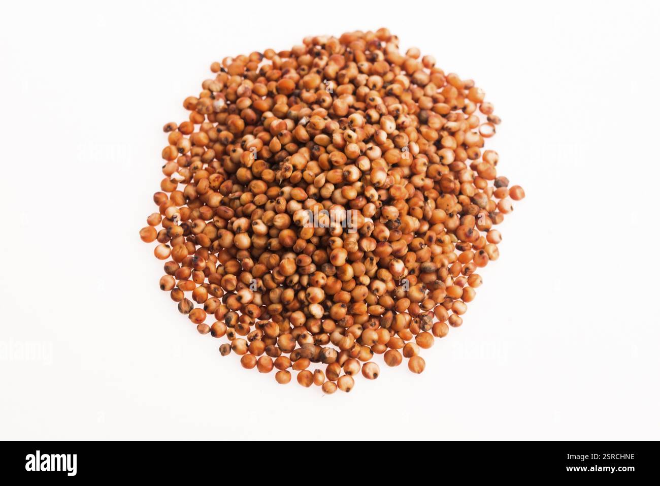 Sorghum durra hi-res stock photography and images - Alamy