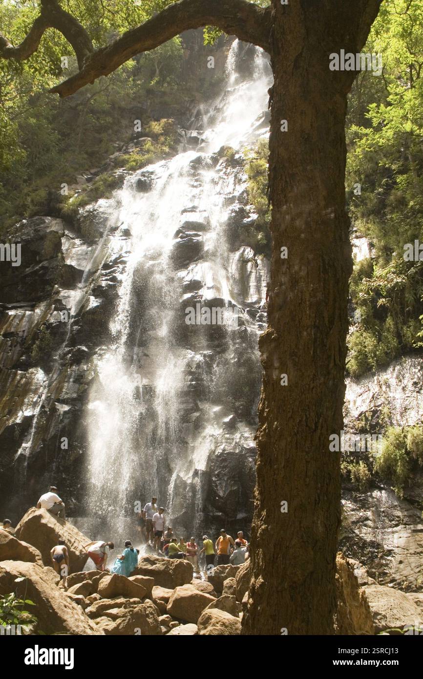 Bee waterfall, Pachmarhi, Madhya Pradesh, India, Asia Stock Photo - Alamy