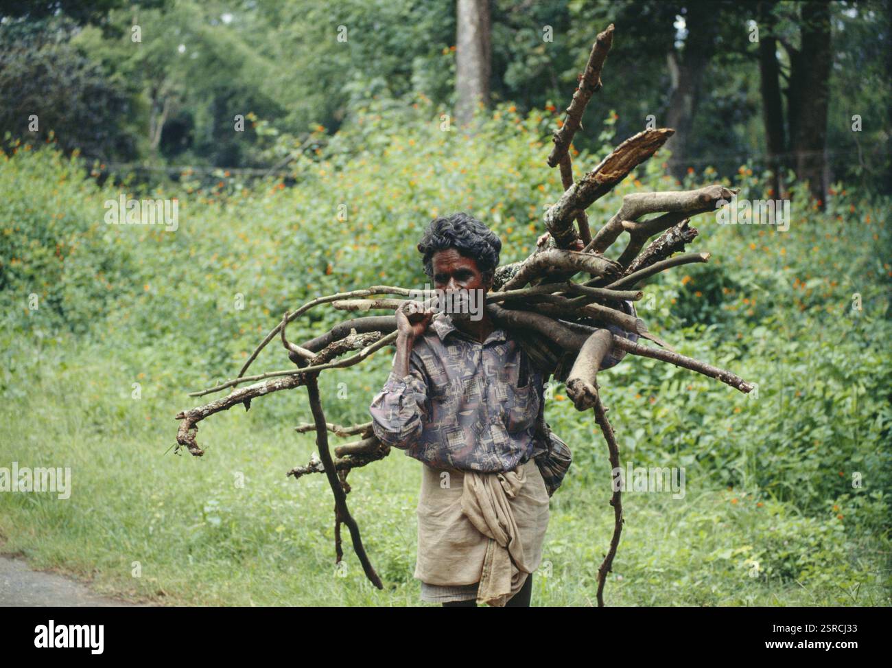 Man carrying fire wood, jenu kurumba tribal, Nagarhole, Karnataka ...