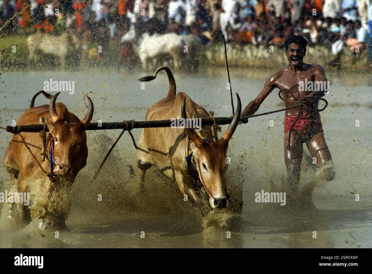 Monsoon india farm hi-res stock photography and images - Alamy