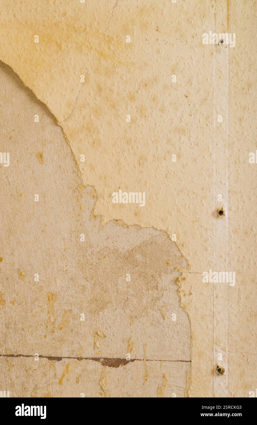 Wall cover with mould Stock Photo - Alamy