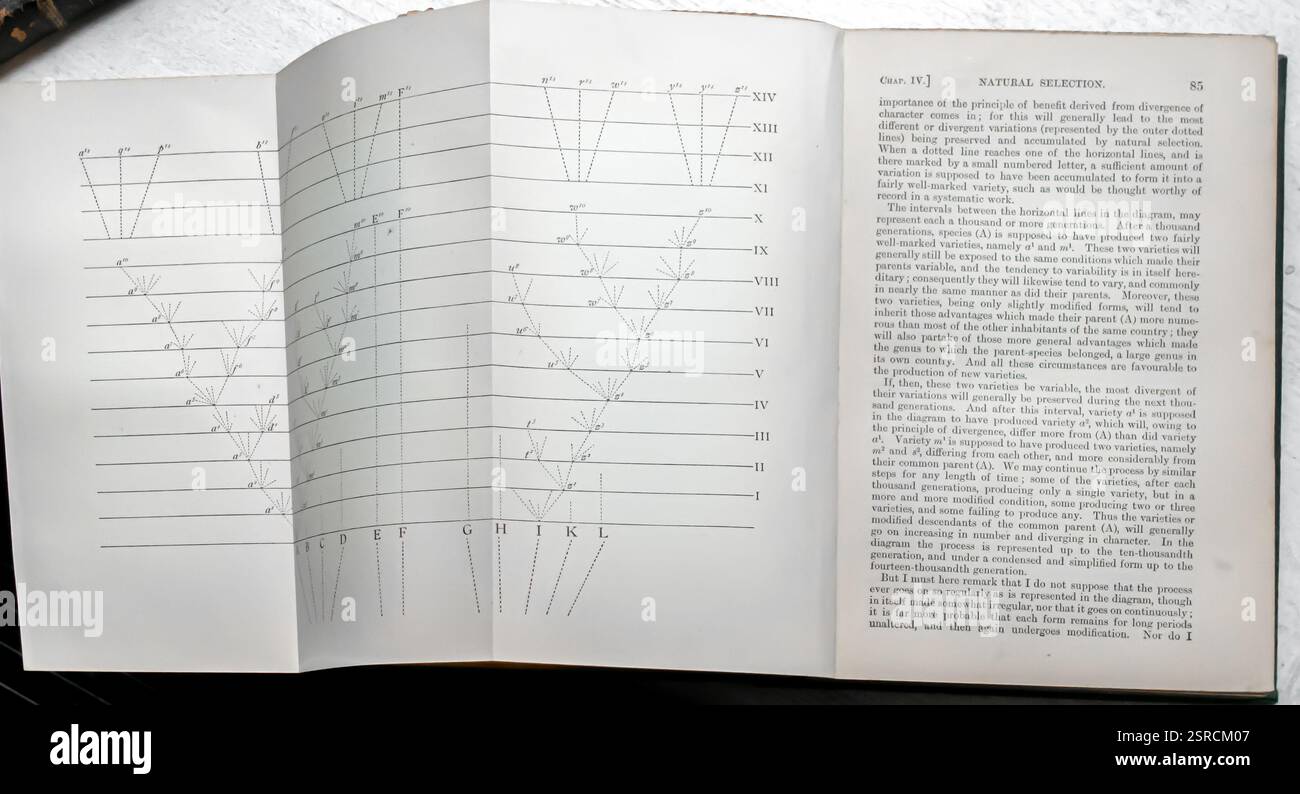 Charles Darwin - Origin of Species, John Murray edition, London UK ...