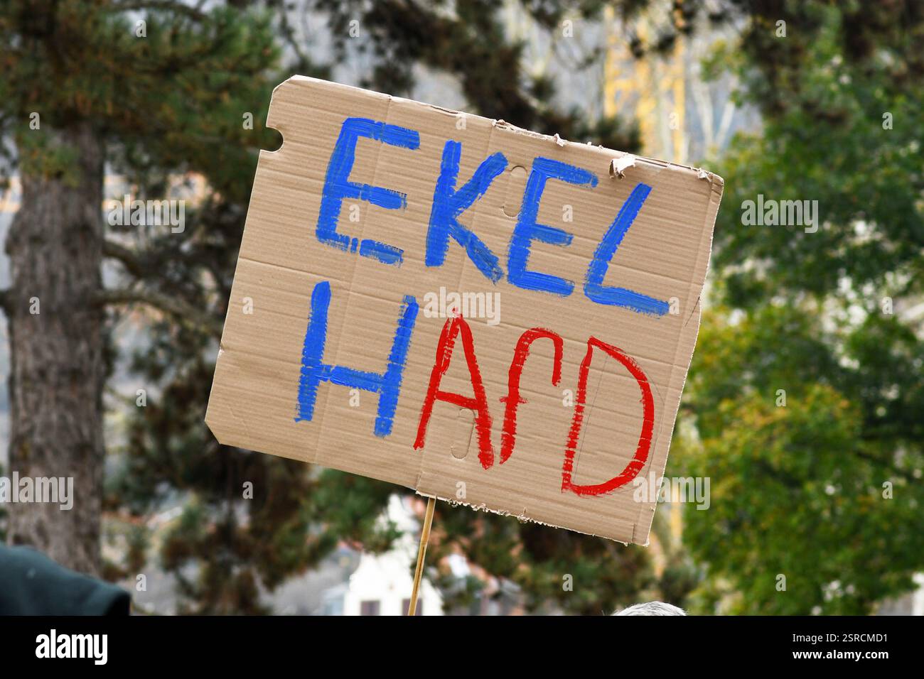 Heidelberg, Germany - February 12th 2025: Anto political far right ...