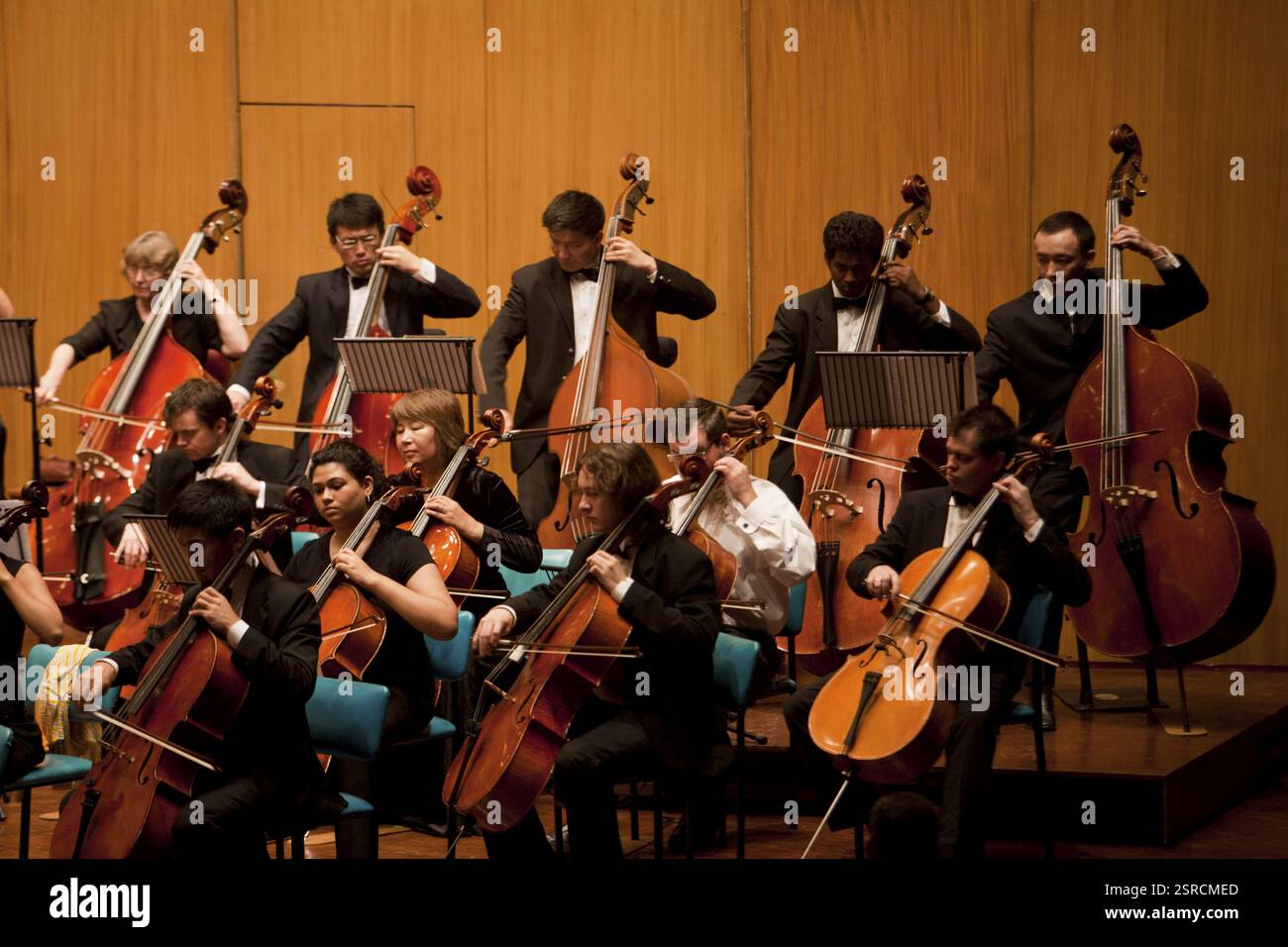 Orchestra at national centre for the performing arts, mumbai ...