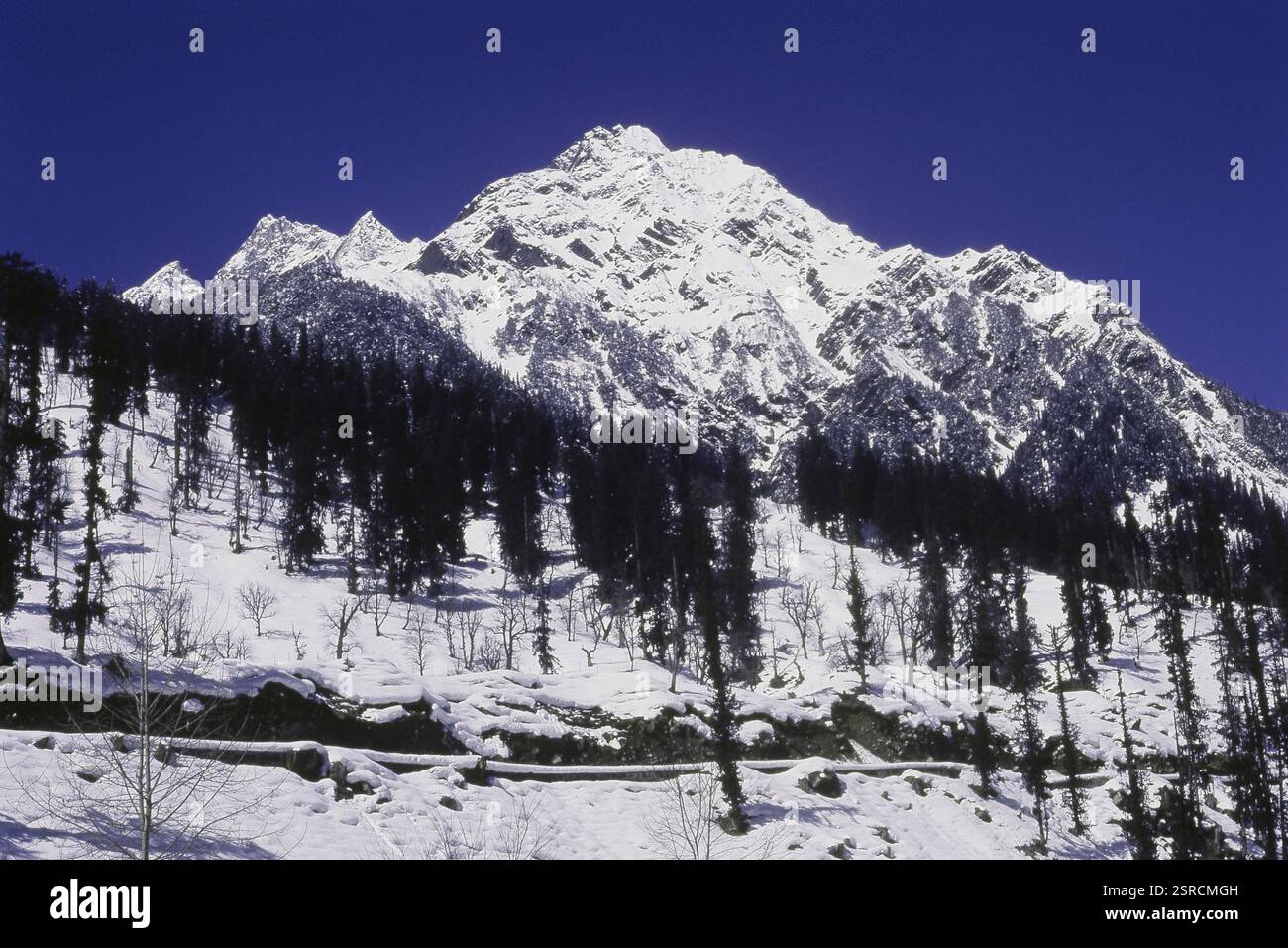 View of Solang Valley in Manali, Himachal Pradesh, India, Asia Stock ...
