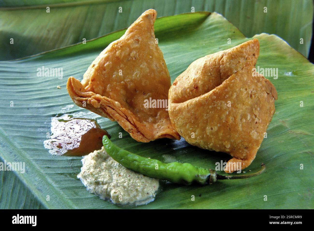 Samosa, fast food, India, Asia Stock Photo - Alamy