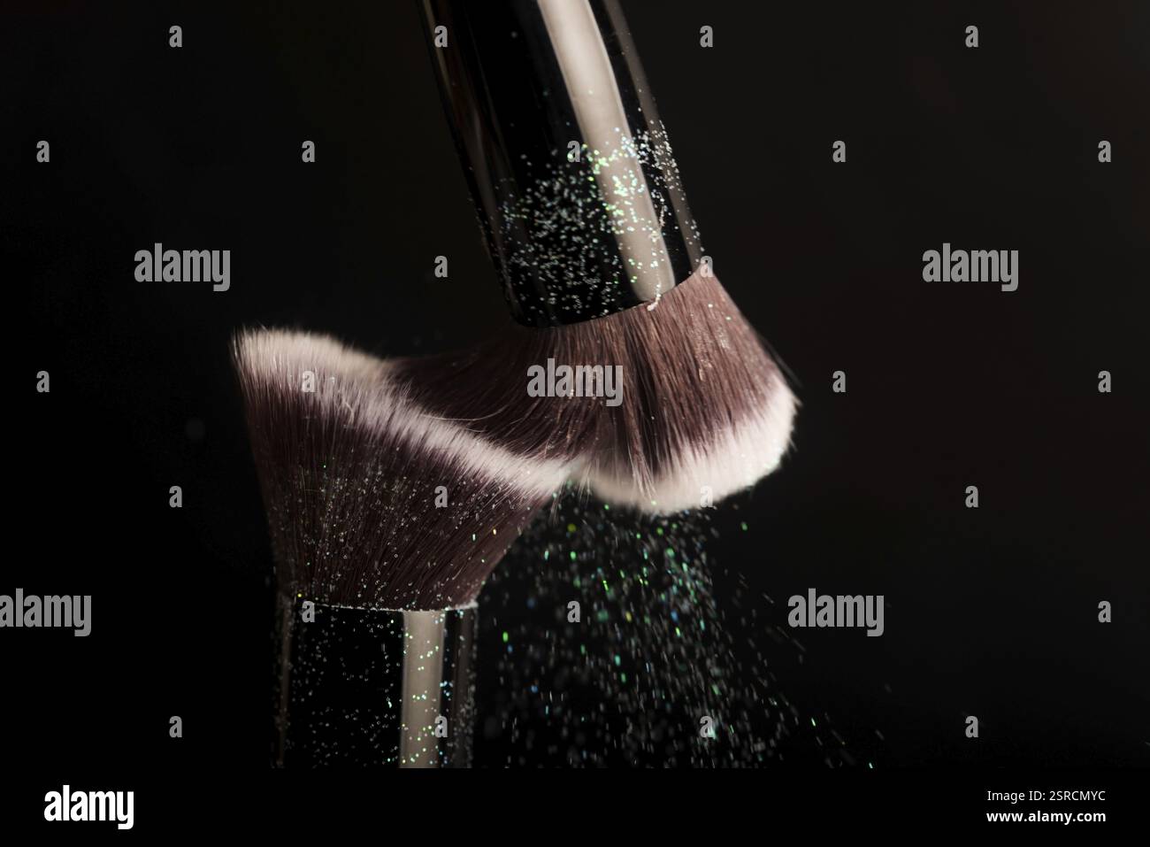 Brush and fungus hi-res stock photography and images - Alamy