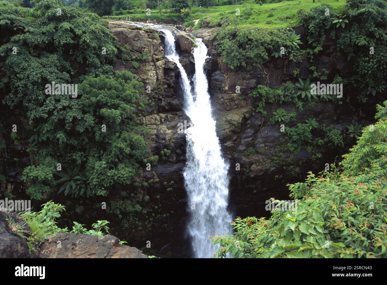 Randha falls, Bhandardara near Igatpuri, Maharashtra, India, Asia Stock ...