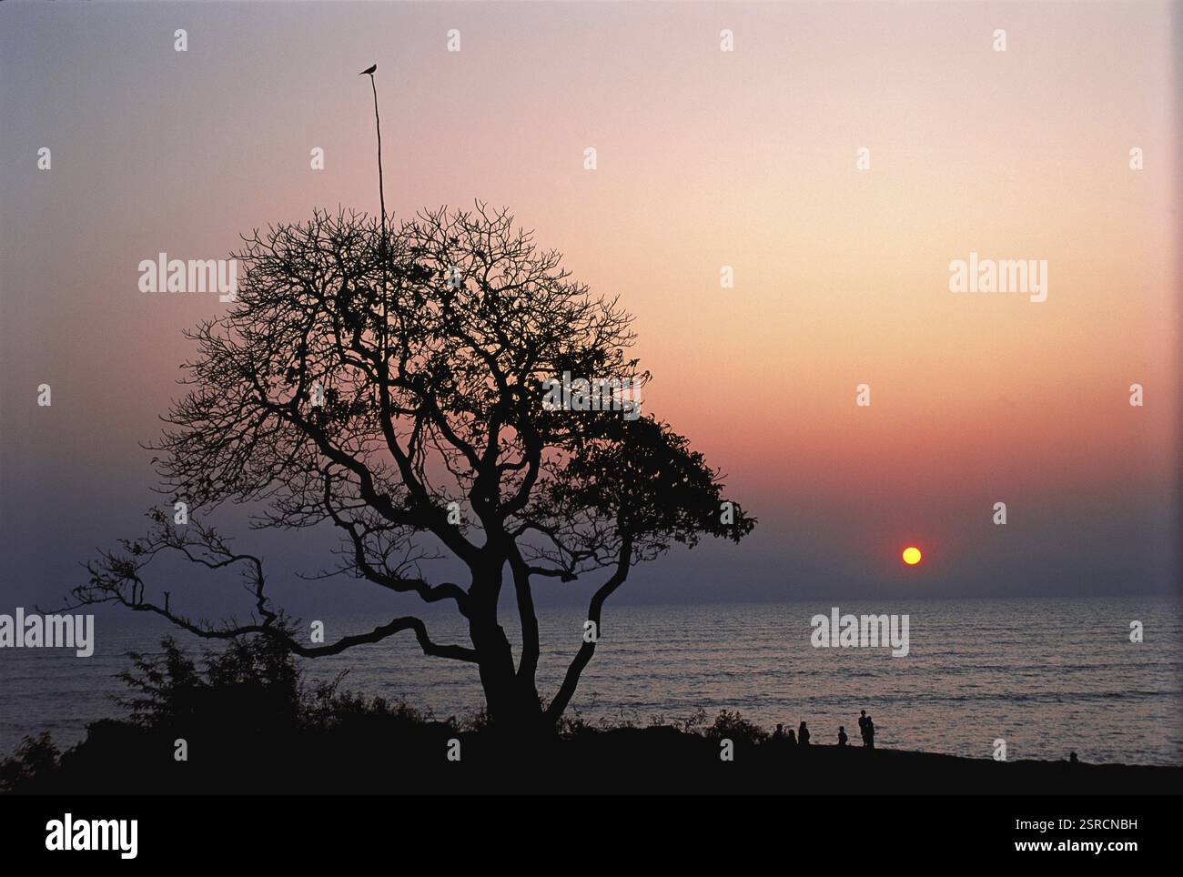 Sunset at Kappad beach near Calicut, Kozhikode, Kerala, India, Asia ...