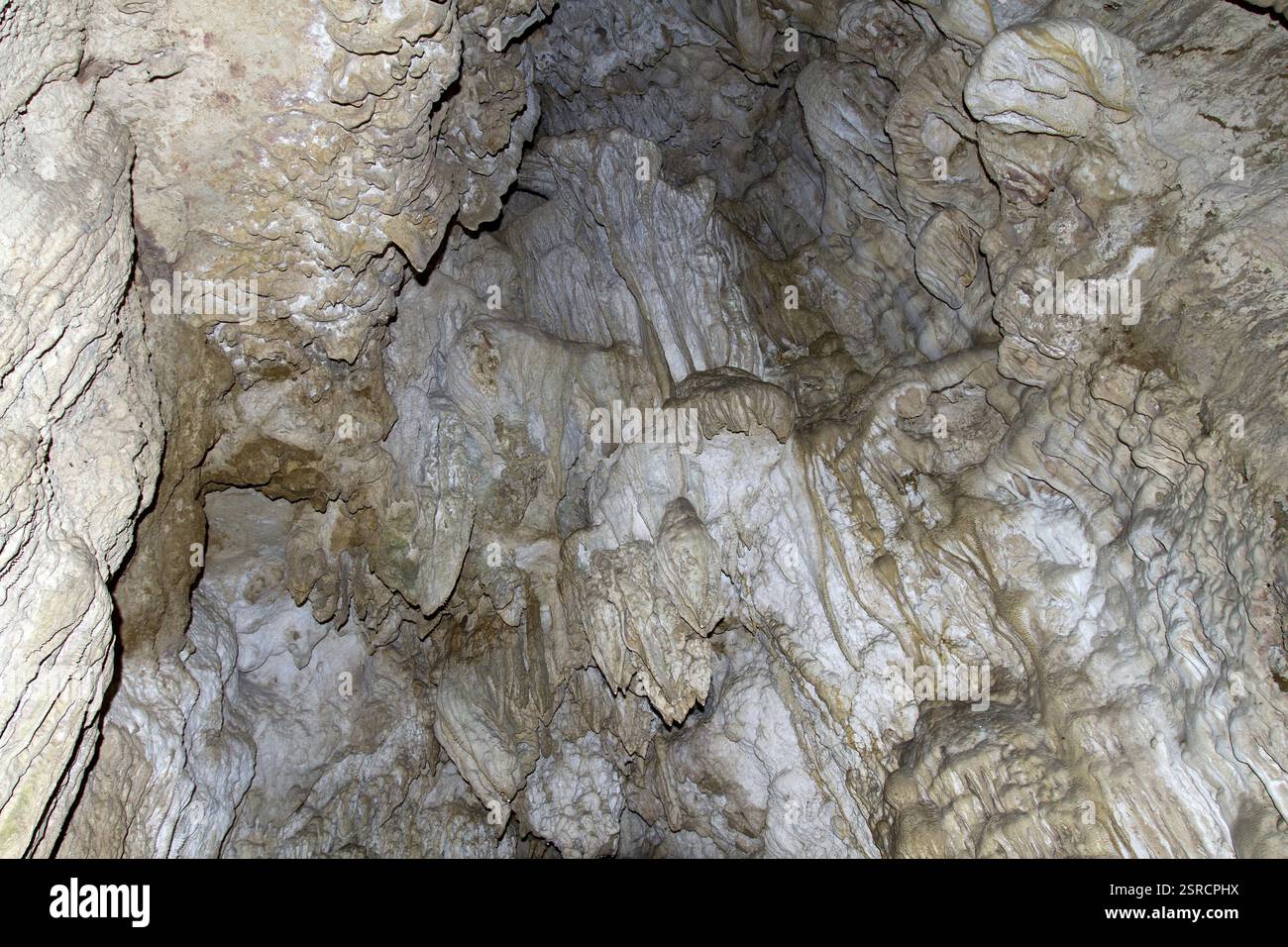 Stalagmite formations Limestone caves in Baratang at Andaman India Asia ...