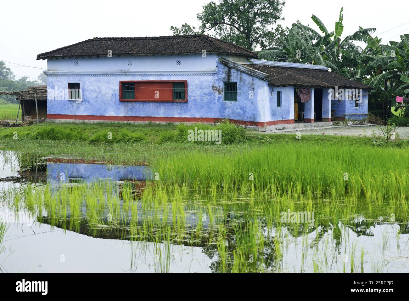 House, Heritage village life, Vaishali to Kesariya, Bihar, India, Asia ...