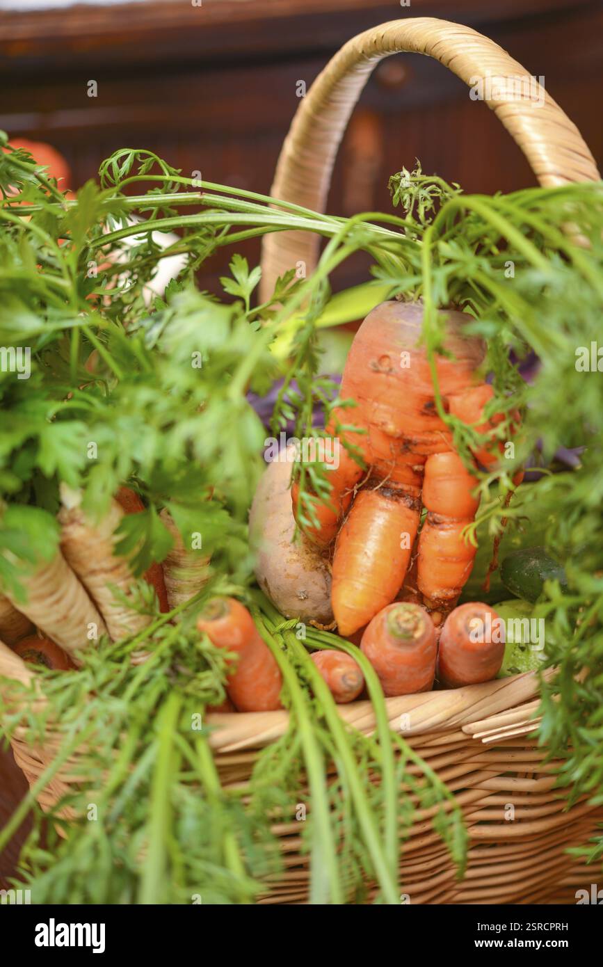 Vegetable baskets hi-res stock photography and images - Alamy