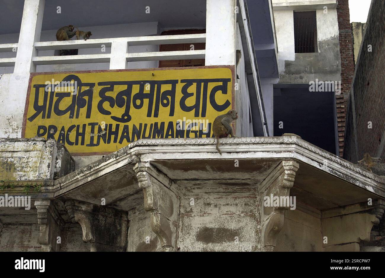 Prachin hanuman ghat, varanasi, uttar pradesh, India, Asia Stock Photo ...