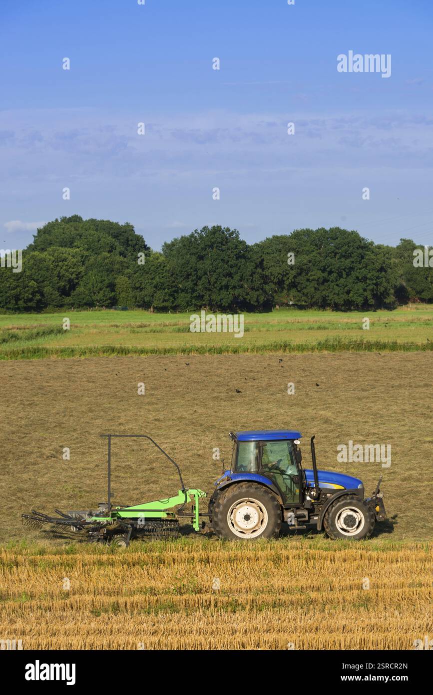 Hay rakes hi-res stock photography and images - Alamy
