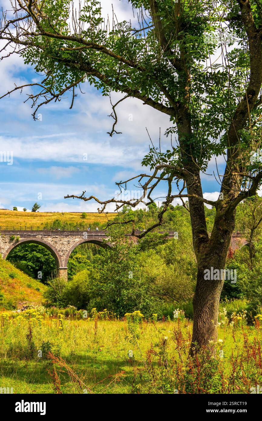 Framed View of Headstone Viaduct Through Verdant Trees in Monsal Dale ...