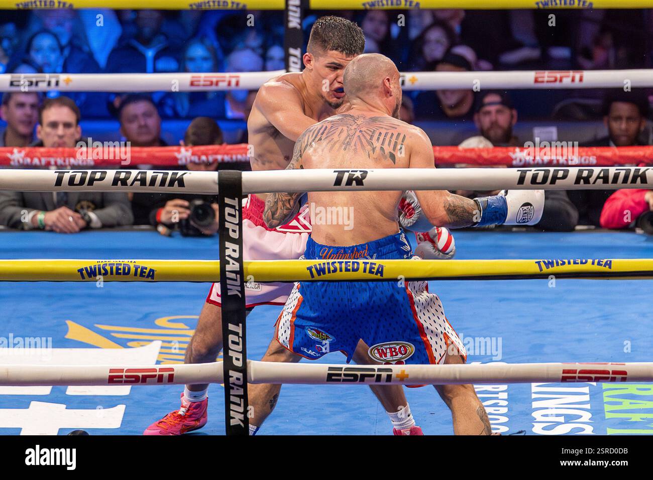 February 14, 2025, New York, New York, USA: XANDER ZAYAS (pink and ...