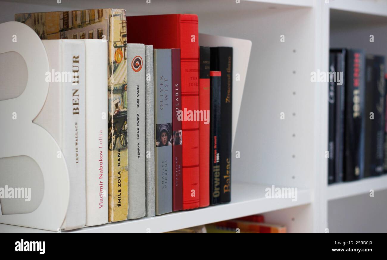 Prague, Czech Republic - February 01 2025: A row of several world ...