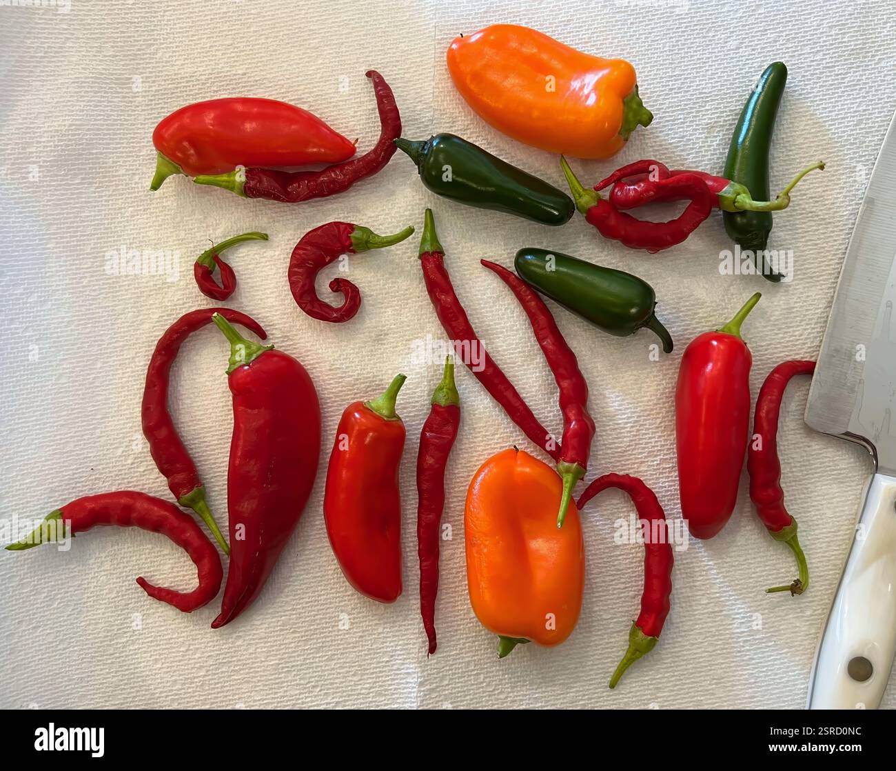 A vibrant assortment of red, green, and orange chili peppers displayed ...