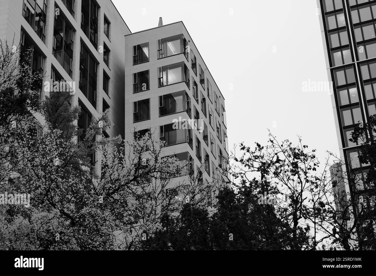 Business background. Modern architecture. Beautiful modern buildings ...