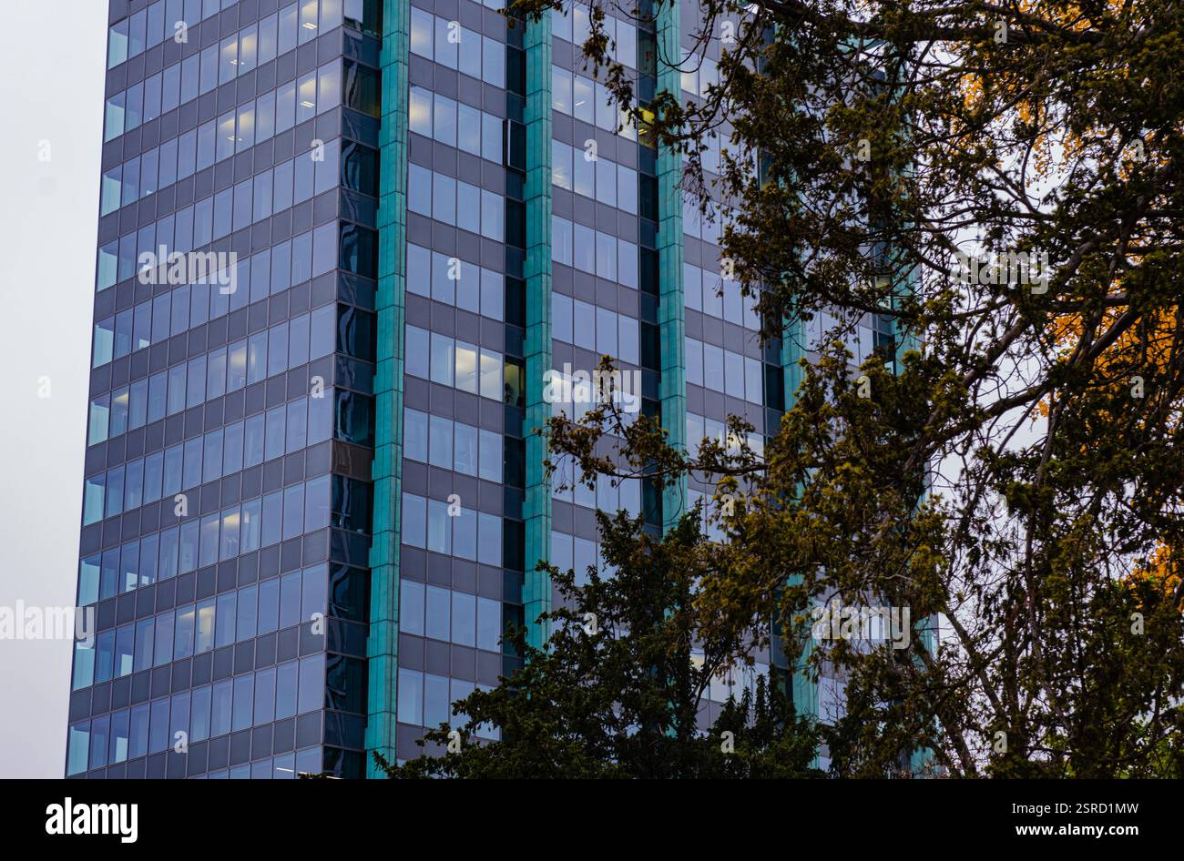 Business background. Modern architecture. Beautiful modern buildings ...