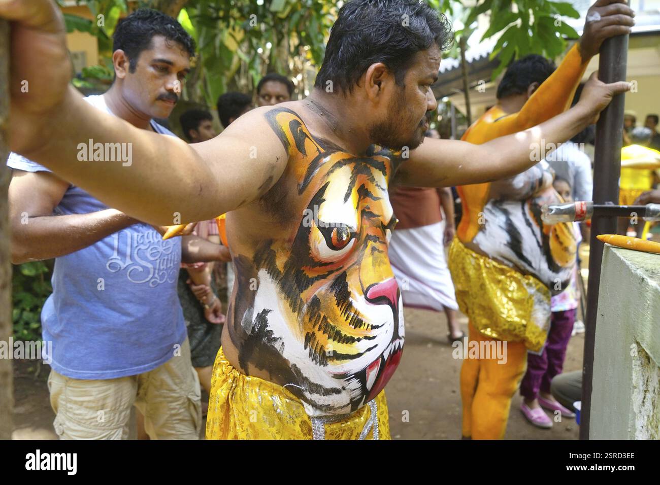 Trained dancers get their body painted in the colours of a tiger prepare to participate famous ...