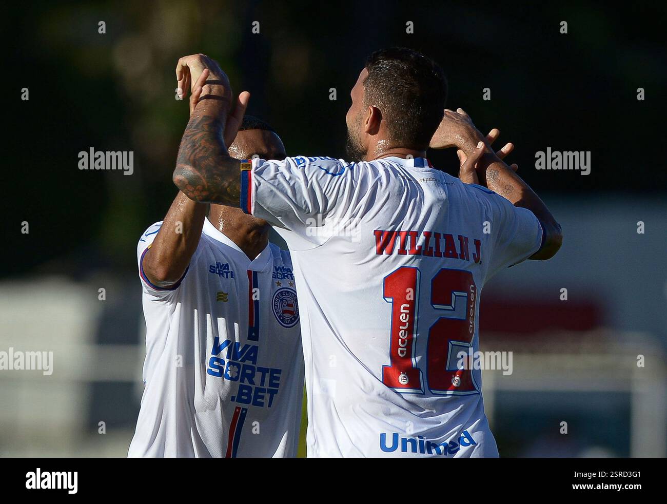 BA - SALVADOR - 02/15/2025 - BAIANO 2025, BARCELONA DE ILHEUS x BAHIA - Willian Jose, Bahia ...