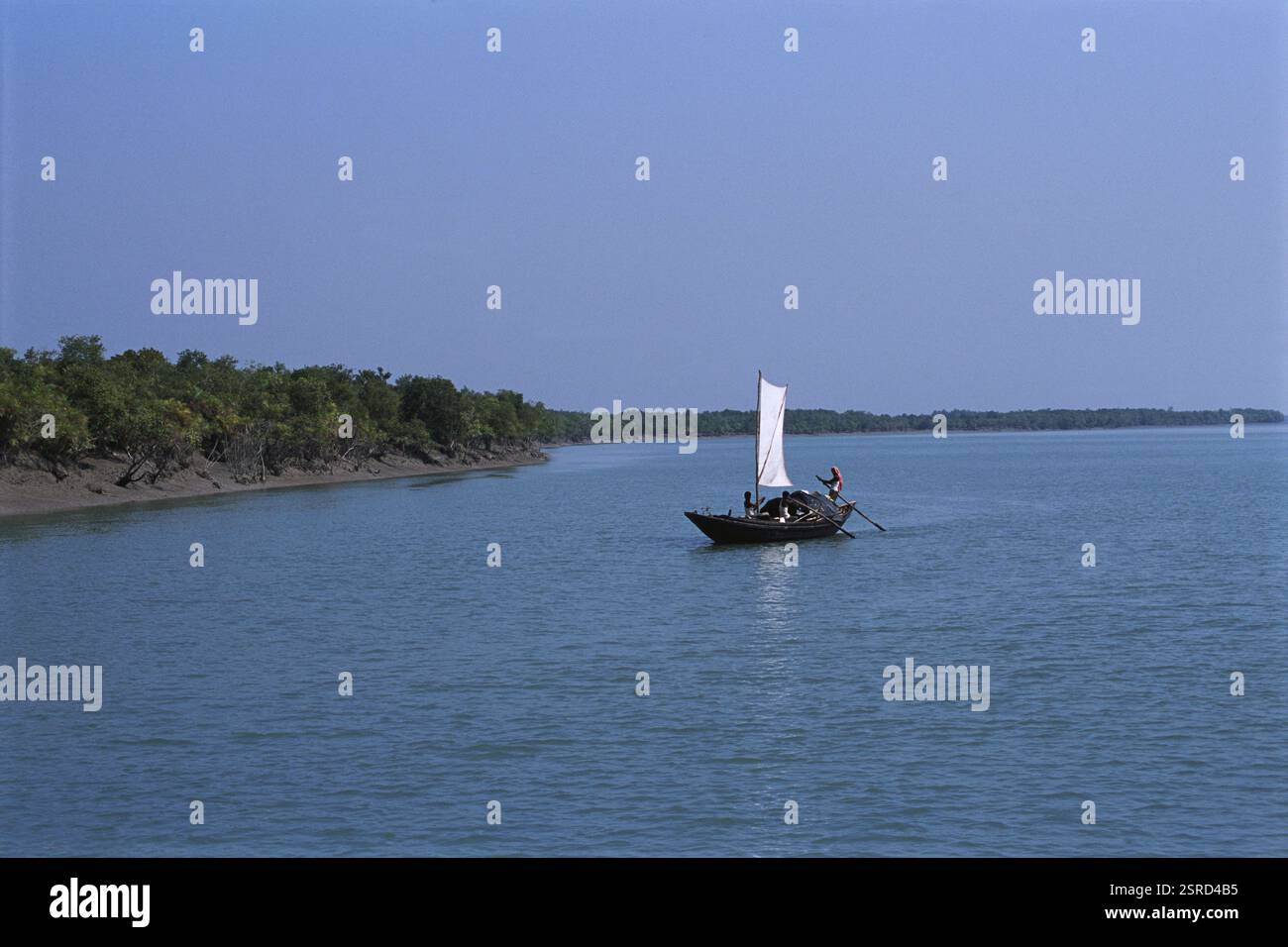 Fishing boat in Sunderbans National Park, West Bengal, India, Asia ...
