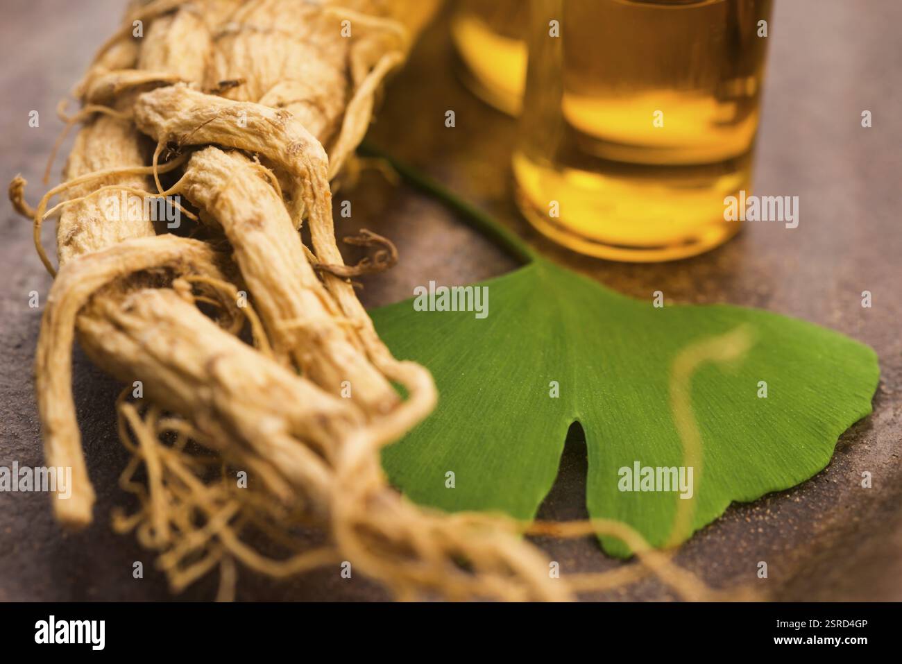 Extract of ginseng root and ginkgo biloba leaves Stock Photo - Alamy