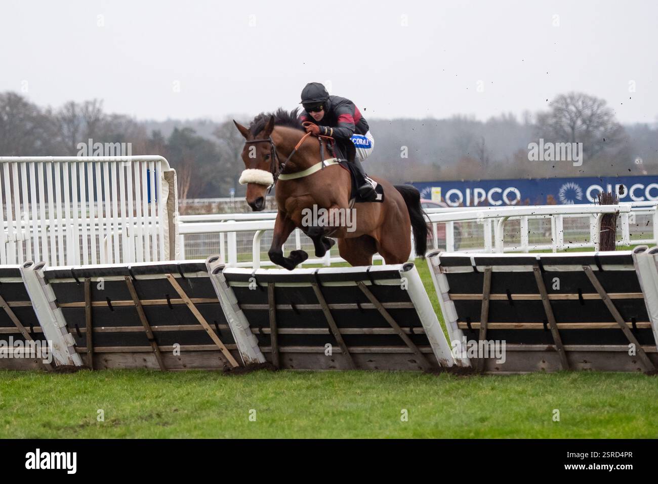 Ascot, Berkshire, UK. 15th February, 2025. Horse FIRST CONFESSION ...