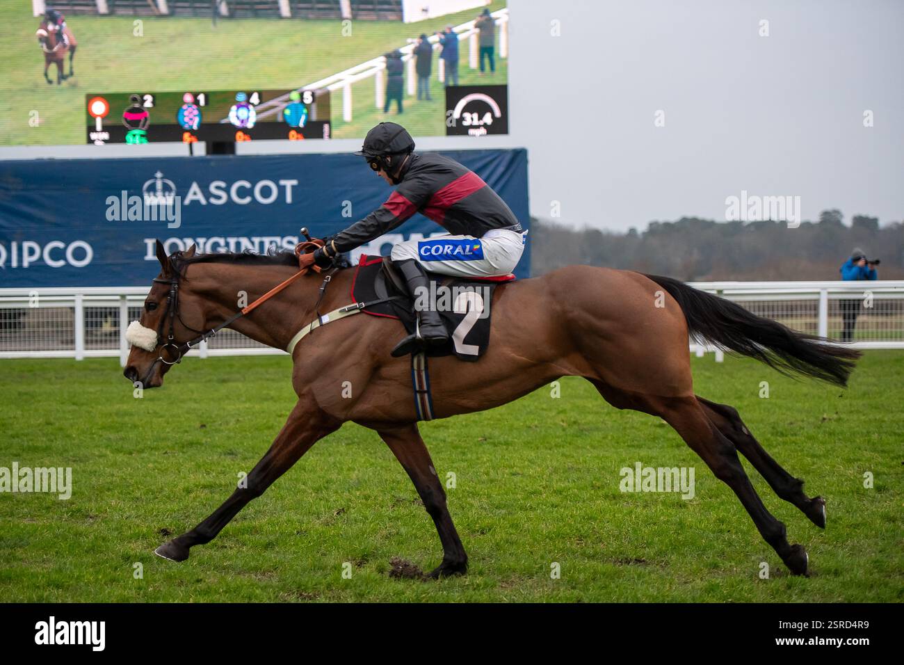 Ascot, Berkshire, UK. 15th February, 2025. Horse FIRST CONFESSION ...