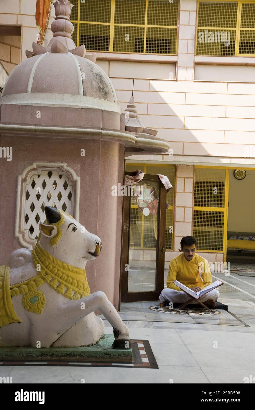 Man reading holy book in front of hanuman temple, mathura, uttar ...