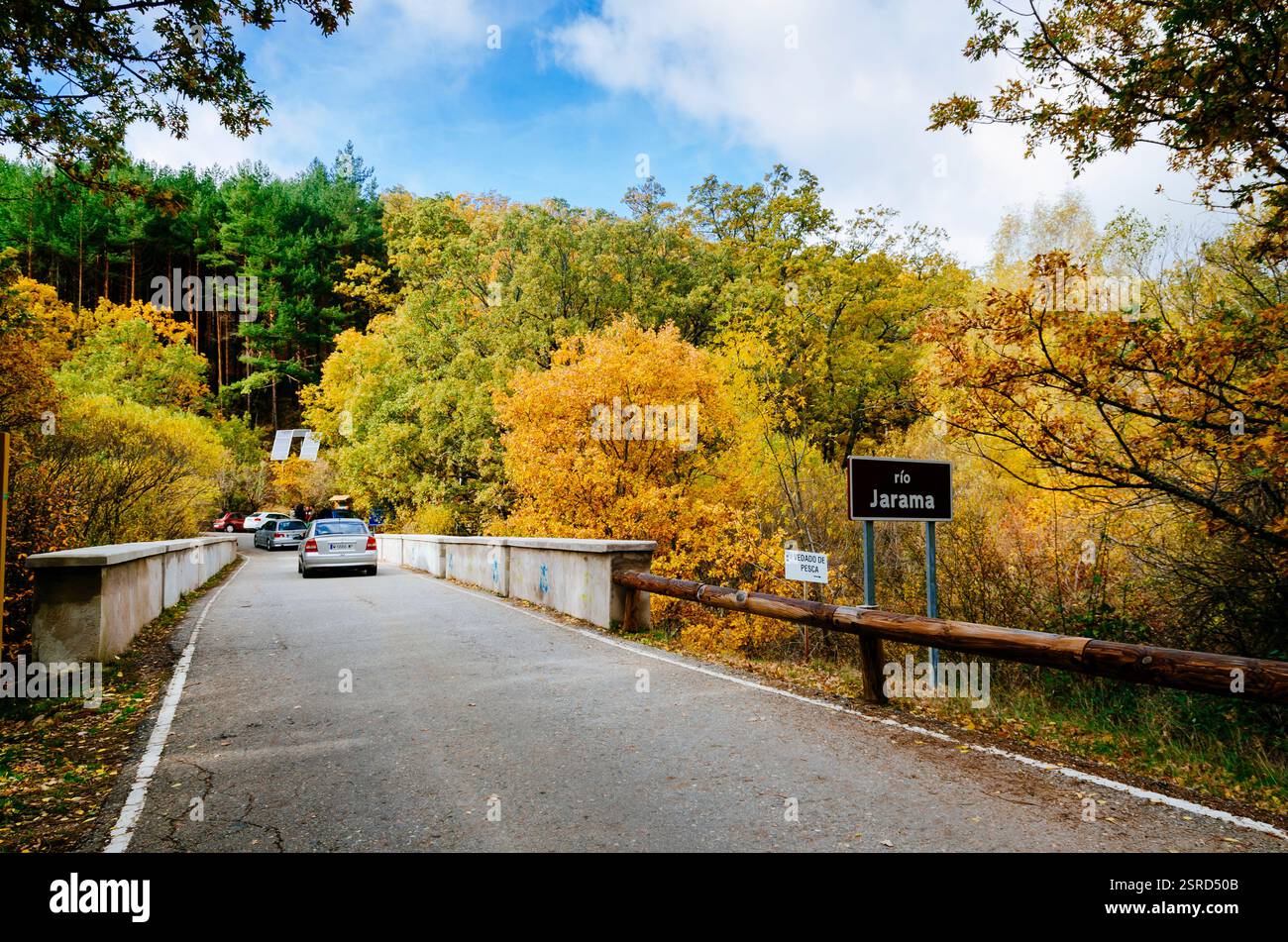 Rio Jarama, next to the Montejo beech forest, marks the border between ...