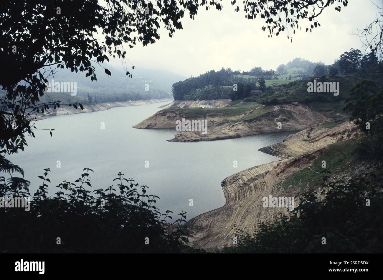 Mattupetty reservoir river, Munnar, Kerala, India, Asia Stock Photo - Alamy