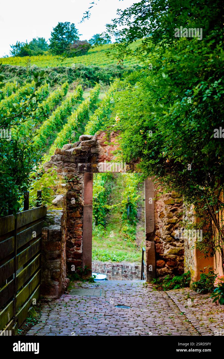 Entrance to the old town. Riquewihr, Sainte-Marie-aux-Mines, Colmar ...
