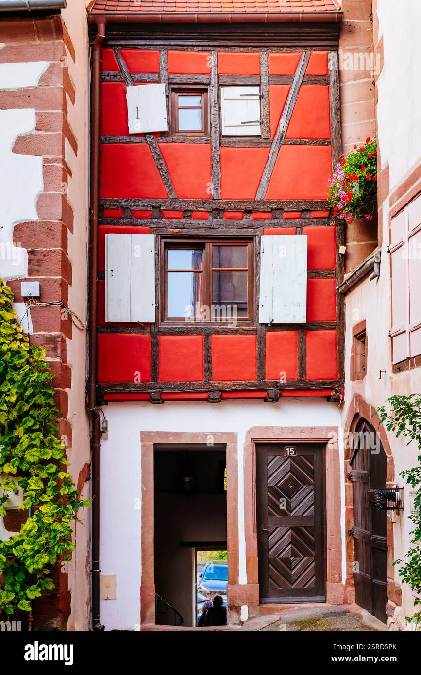 Traditional half-timbered french houses. Riquewihr, Sainte-Marie-aux ...
